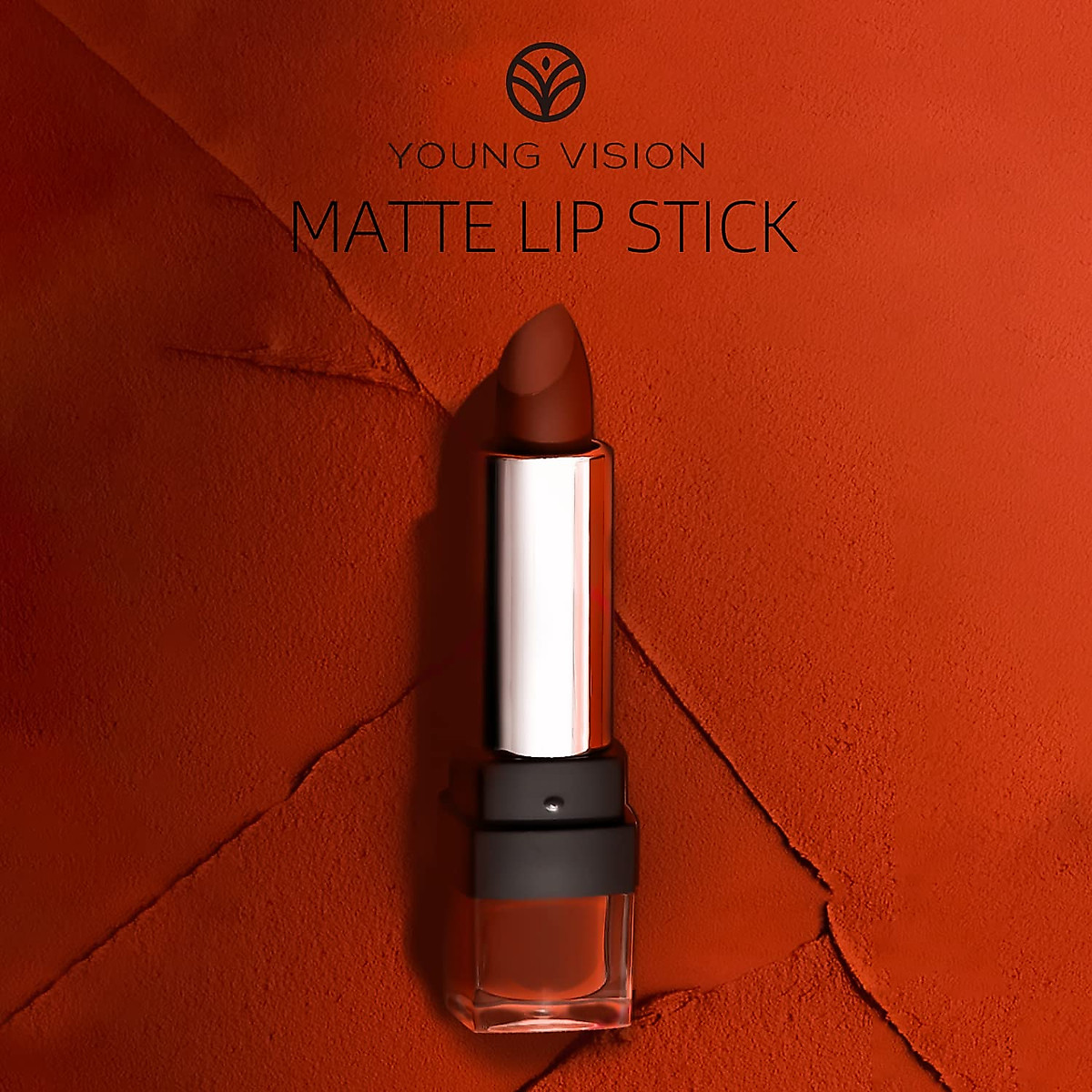 YOUNG VISION Classic Colors Lipstick, Lip Stick Bundles Gift Box Set, Matte Nude Finish, Retractable, 6 Packs