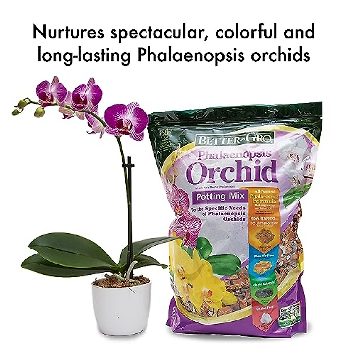 Sun Bulb 5011 Better-Gro Phalaenopsis Mix, 8 Quarts