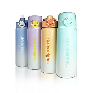 bukebro Stainless Steel Vacuum Insulated Water Bottles Leak Proof with Straw,keep warm|cool,Gifts for him|her,used in office,outdoor sports 17oz/500ml (17oz purple)