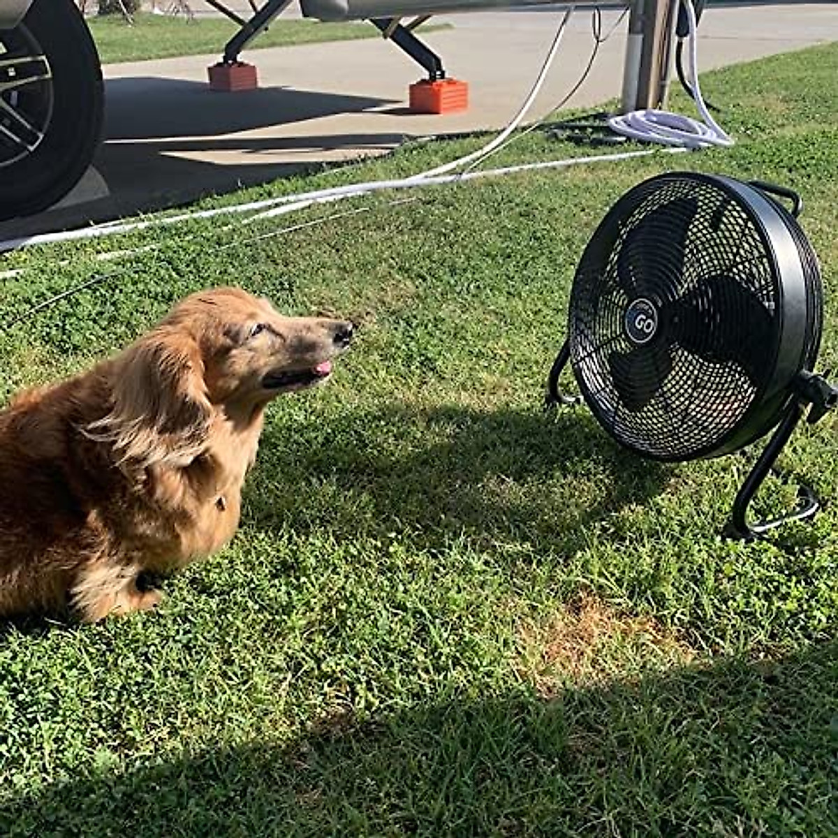 HydroMist 12" Cool n Go Cordless Rechargeable Outdoor Fan, Ultra-portable and Rechargeable Battery-Powered Fan, USB Charging Port, Outdoor-Rated, Black