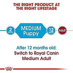 Royal Canin Medium Puppy Dry Dog Food, 30 lb bag