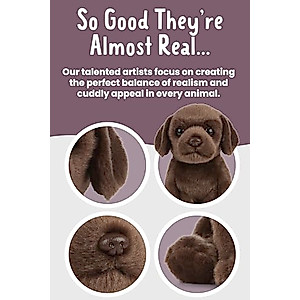 Living Nature Chocolate Labrador Puppy Stuffed Animal | Fluffy Dog Animal | Soft Toy Gift for Kids | 6 inches