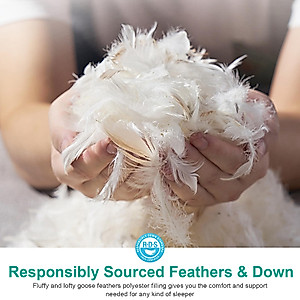 APSMILE Medium Firm Feather Down Pillows Standard Size Set of 2, Luxury Feather Pillow for Sleeping, Organic Cotton Cover Hotel Collection Bed Pillow (White, 20"x26")