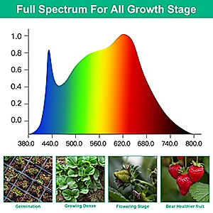 TVTUTPWY T5 Grow Lights 5000K Full Spectrum,1.4FT (2pcs x 10 Watts) Plant Growing Lamp,End-to-End Connectable Led Light Strips for Indoor Plants Succulents Flowers Growing
