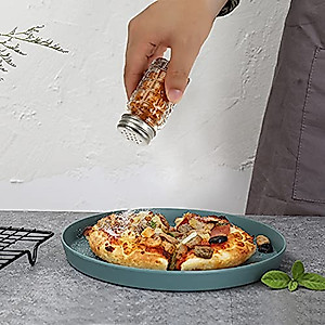 Jucoan 16 Pack Retro Style Salt and Pepper Shakers Set, 2oz Clear Glass Salt Shakers with Stainless Steel Lids for Kitchen, Tabletop, Restaurant