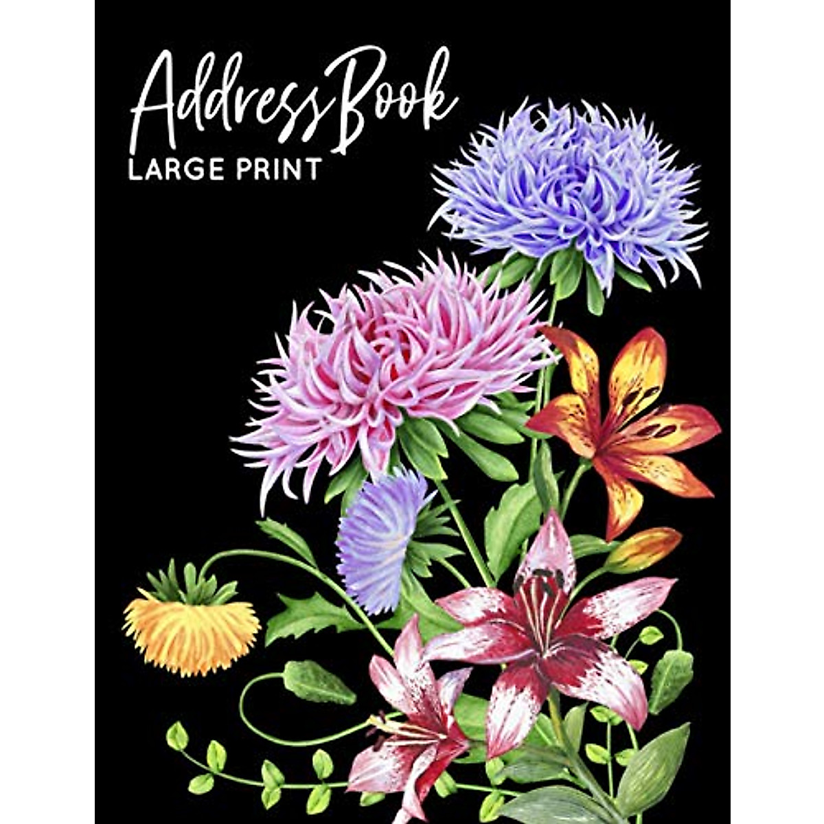 Address Book Large Print: Address Book Large Print For Seniors : Telephone Address Book Big Print With A-Z Alphabet Index : Records Name, Address, Phone, E-mail address with Note Section