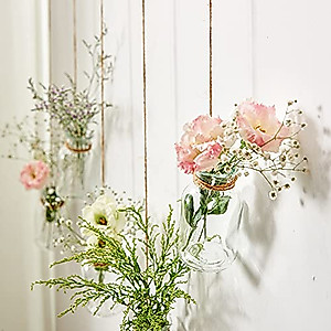 EZOWare 20pc Spice Jars, 5oz Bottle Clear Glass Canister Set with Cork Lid, Round Decorative Reusable Vial Storage Containers for Herbs, Teas, Seasonings, Party Favors, Candy (150ml)