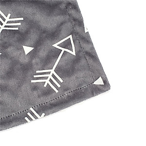 BORITAR Baby Blanket Super Soft Minky with Double Layer Dotted Backing, Little Grey Arrows Floral Leaf Spring Summer Fresh Design