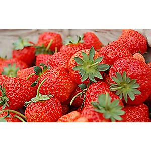 Sweet Red Strawberry Seeds 300pcs for Home Garden Planting