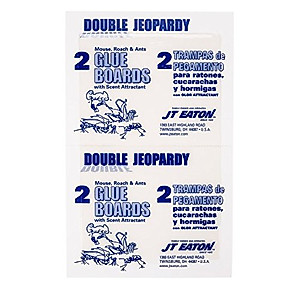 Eaton Double Jeopardy Mouse Glue Board
