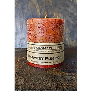 Harvest Pumpkin Spice Cinnamon Clove Scented Pillar Candle Set (3 Piece Set, Rustic, Dark Orange)