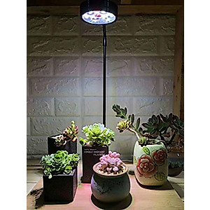 Hiro Aquatics Full Spectrum LED Light with Bamboo Board, Fits Aquarium Nano Tank, Betta Fish Tank, Potted Plants, Succulents, Miniature Landscape – 9W