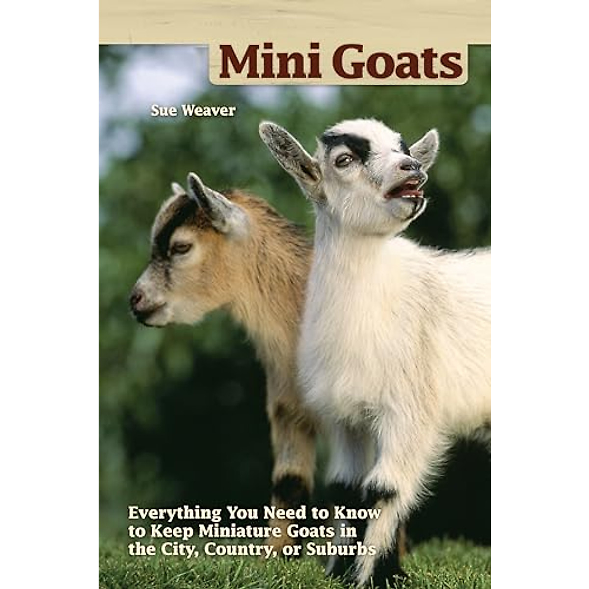 Mini Goats: Everything You Need to Know to Keep Miniature Goats in the City, Country, or Suburbs