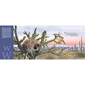 G Is for Grand Canyon : An Arizona Alphabet (Alphabet Series)