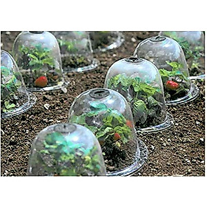 KiaoTime Pack of 10 Reuseable 10" Plastic Greenhouse Garden Bell Cover Germination Cover Frost Guard Freeze Protection Dome with Bonus 30 Metal Stakes+10 Tags