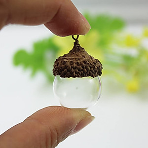 6PCS DIY Glass Vial With Acorn Caps Wishing Bottles Pendants Jewelry Accessory (P-20MM Ball-Acron Cap)