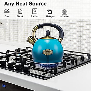 s-p Whistling Tea Kettle Stove Top Teapot, Stainless Steel Teakettle (2.8 QUART, Blue)