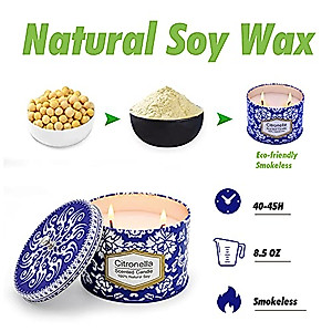 Citronella Candles Outdoor 8.5oz Natural Soy Wax Candles for Home Patio Porch, Packs of 2