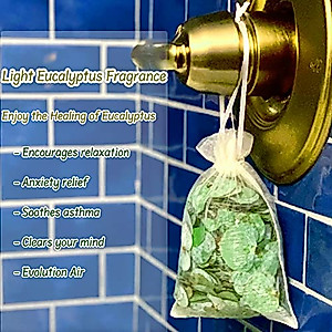 1600+ Small Preserved Real Eucalyptus Leaves, 100% Natural Bulk Eucalyptus, Biodegradable Wedding Leaves Confetti for Anniversaries, Birthday, Graduation, Bridal Showers, Baby Shower Party Decor