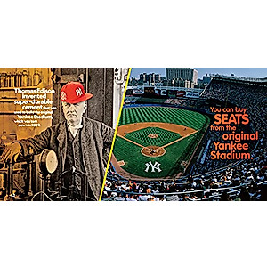 Weird But True! New York City