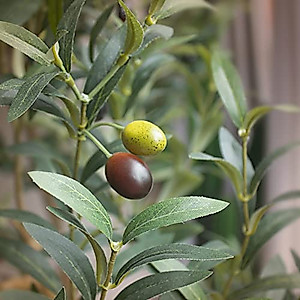 Bellacat Faux Olive Tree 5ft，Olive Trees Artificial Indoor with Natural Wood Trunk and Realistic Leaves and Fruits. 5 Feet(60in) Fake Olive Tree for Home House Office Décor.