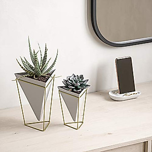 Umbra - 1004372-524 Trigg Desktop Planter Vase & Geometric Container-for Succulent, Air, Mini Cactus, Faux Plants and More, Desk, White/Brass