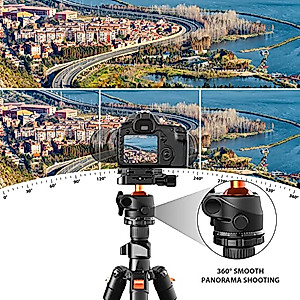 GEEKOTO 64" Camera Tripod, Compact Aluminum Tripod with 360 Degree Panorama Ball Head 1/4 inch Quick Release Plate, DSLR Tripod Suitable for SLR Cameras