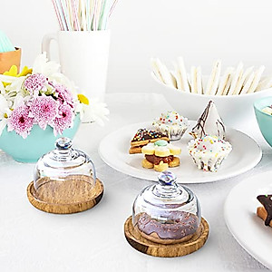 Yardwe 2 Sets Glass Dome with Wooden Base Mini Cake Stand Glass Display Dome Cloche Clear Glass Bell Jar Cover for Dessert Cheese Candy Plants Succulents (4.1 x 3.7 Inch)