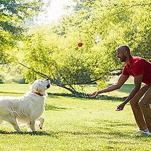 Milk-Bone Simply Original Dog Treats Biscuits for Large Dogs, 11 Pounds