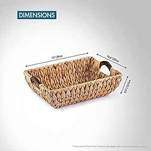 ADO Basics Large Water Hyacinth Hand Woven Basket with Stain Resistant Polished Wooden Handles, Storage Wicker Baskets 15" Length, 10.6" Width, 5.3" Height, Set of 2