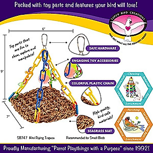 Super Bird Creations SB747 Mini Flying Trapeze Bird Toy, Small Bird Size, 6” x 7” x 9”