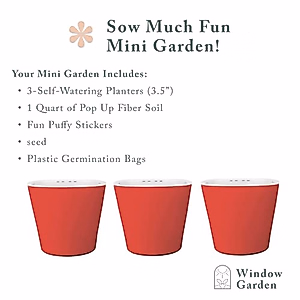Window Garden Bean Sow Much Fun Seed Starting, Vegetable Planting and Growing Kit for Kids, 3 Self Watering Planters, Soil, Seeds and Puffy Stickers. No Mess, Easy, Works Great!