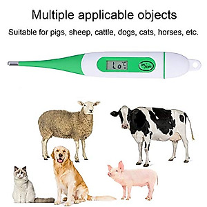 Animal Thermometer, Easy Read LCD Animal Thermometer with LCD for Horses for Cattle for Sheep
