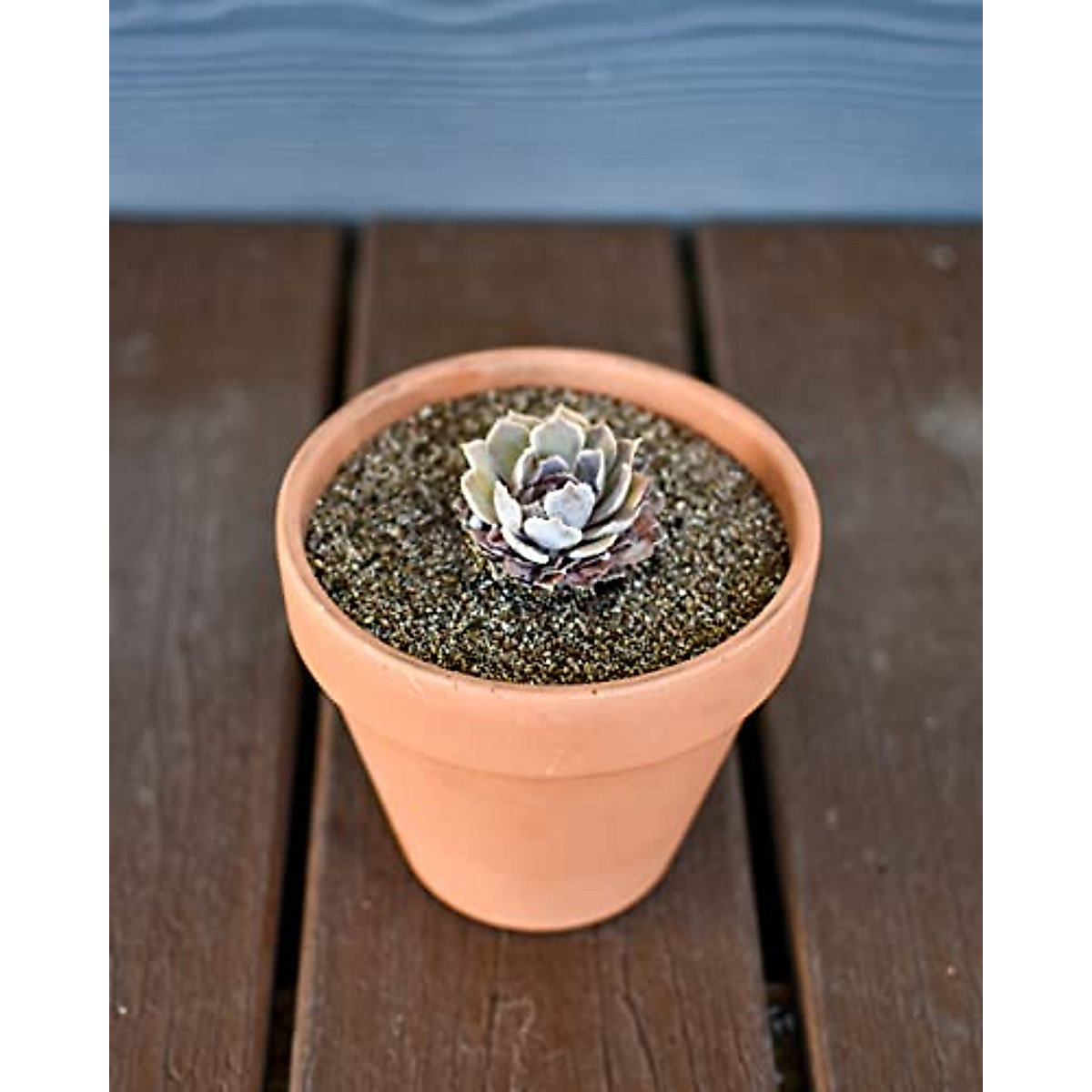 All Natural Vermiculite Soil Additive (1 Quart); Medium Grade Horticulture Soil Amendment for Plants, Terrariums, Orchids