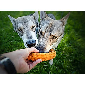 Spunky Pup Gnaw Guard Foam Dog Toy | Strong Dental Chew Toy | Promotes Healthy Teeth & Gums | Large Ring