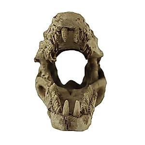 Pangea Reptile Crocodile Skull Terrarium Decoration, Tan