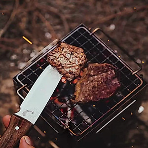 Portable Camping Stove & Grill - Foldable Alcohol/Charcoal/Twig Wood Campfire (Small)