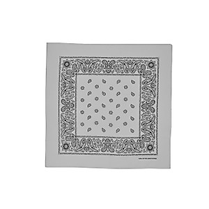 Vamqor 12pcs Bandana for women and men 100% Cotton Custom Fashion Paisley Design Multifunctional Outdoor Square Handkerchief（White）