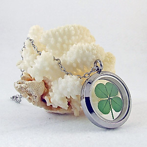 Clovers Online Genuine Preserved Four Leaf Clover Good Luck Charm Stainless Steel Pendant Necklace