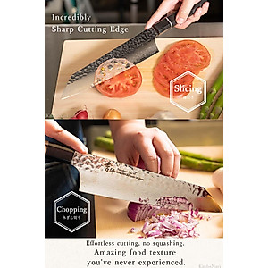 Sakai Takayuki 【The knife brand favored by Japanese chefs】 Rokoku Chef Knife Gyuto Japanese Knife 8 inch (MPN RG210)