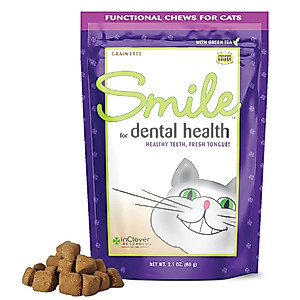 In Clover Smile Daily Dental Health Soft Chews for Cats, Support Healthy Teeth and Fresh Tongue with Catnip and Green Tea, Prebiotics, and Chlorophyll for Fresh Breath