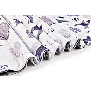 Boyoung Baby Blanket, Soft Minky Warm Blanket for Boy or Girl, Receiving Blanket with Double Layer Dotted Backing for Newborns 7894222 0