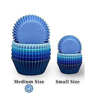 qiqee 300 Counts Cupcake Liners Cupcake Cups Food Grade 6 Solid Blue Colors Cupcake Papers Muffin Baking Cups Cupcake Wrappers (Standard Size)