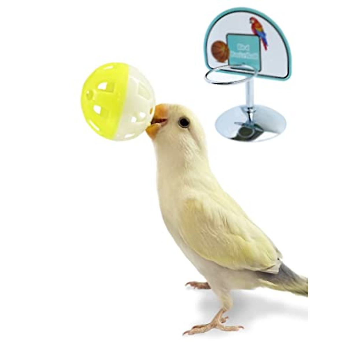 YANQIN Bird Toys, Bird Trick Tabletop Toys, Bird Training Basketball Stacking Color Ring Toys Sets with Screwed Base - Parrot Chew Ball Foraging Toys Developing Bird Intelligence (Medium)