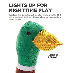 Charming Pet Headbangerz Duck Plush Squeaky Light-Up Dog Toy