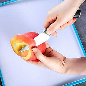 WELLSTAR Paring Knife, 3.5 Inch Fine Edge Fruit Peeling Knife with Super Sharp German Stainless Steel Forged Blade and Full Tang Handle, C-Style Series