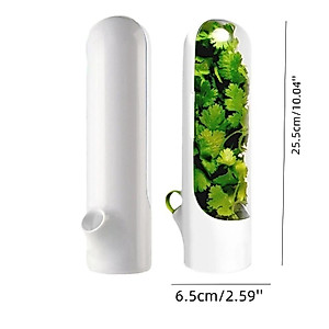 LONG XIN SERIES 1PCS Herb Saver Refrigerator Vegetable Preservation Bottle Herb Storage Container Clear Herb Container for Kitchen Fresh Keeper Cilantro Mint Asparagus