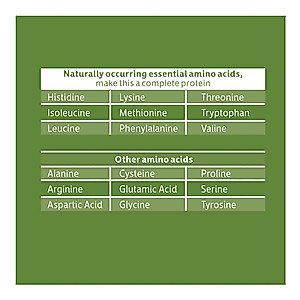 Biochem 100% Vegan Protein, Natural Amino Acids, Gluten Free, Keto, Non Whey, Pea & Hemp Protein Powder for Women and Men, 24 Servings 2 LB (Chocolate)