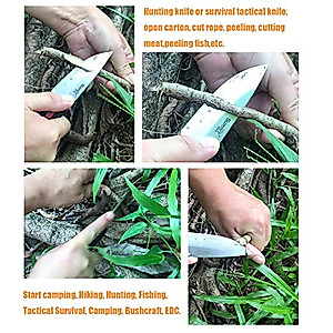 8.8in Survival Knife Outdoor Jungle Knives 9CR18 German High Carbon Steel Drop Point Tactical Knife Bone Saw Gut Hook LED Light 4 in 1 Knives with Nylon Sheath Red Black