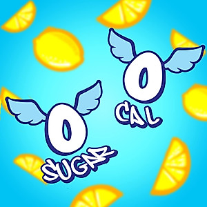 Splash Refresher, Lemon Flavor Water Beverage, 8 Fl Oz Plastic Bottles (24 Count)